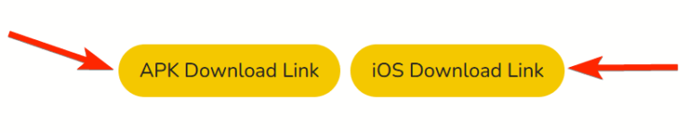 How to Play & Practice McDonald's Cashier Training Game